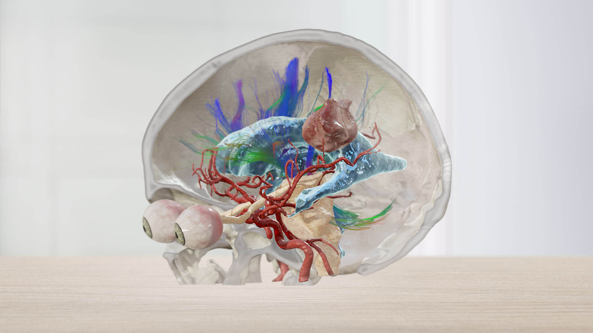 Mixed Reality Viewer: 3D Neurosurgery Planning | Brainlab